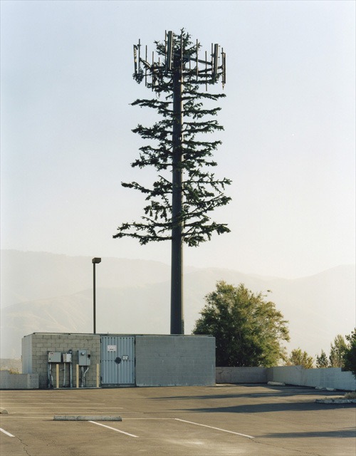 Camouflaged Cell Phone Towers | Amusing Planet